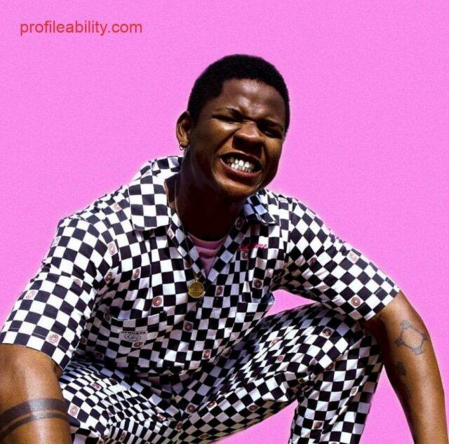 Loufi Biography, Videos, Booking - ProfileAbility