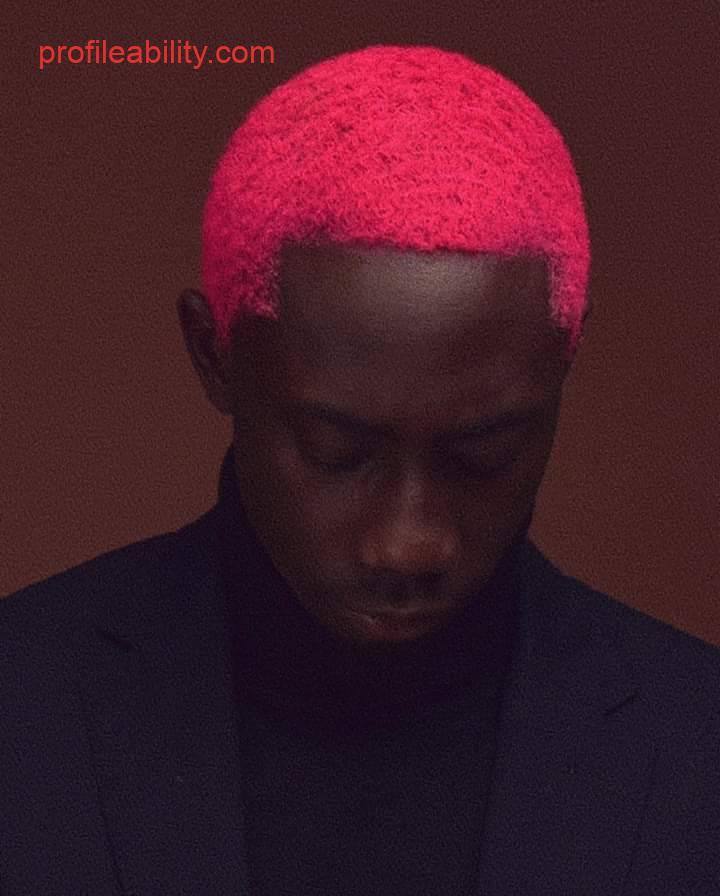 Bosom P-Yung Biography, Music, Videos, Booking - ProfileAbility