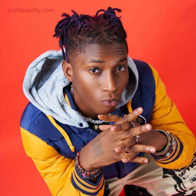 Pikaluz Biography, Music, Videos, Booking - ProfileAbility