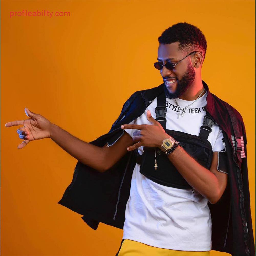 Limoblaze Biography, Videos, Booking - ProfileAbility