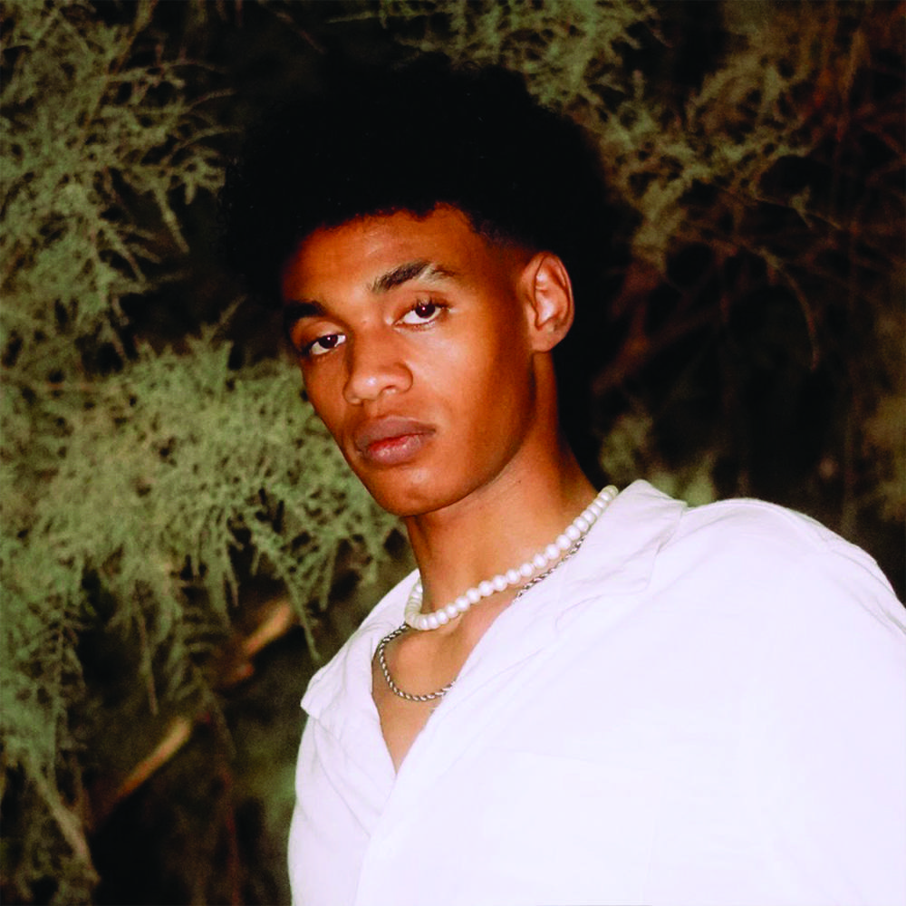 Wingii Biography, Music, Videos, Booking - ProfileAbility